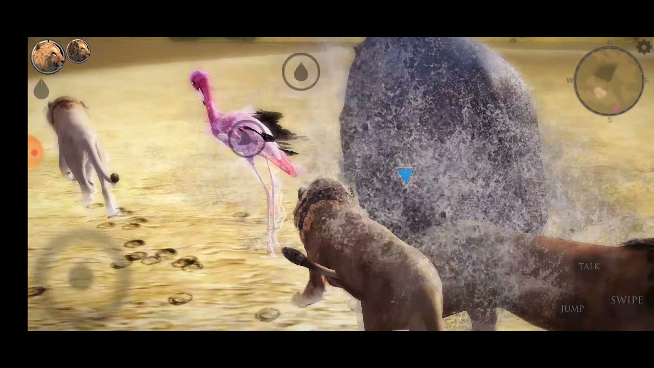 African Lion vs Cheetah, Hippo,Camel,Elephant, Flimingo,Ultimate Lion ...