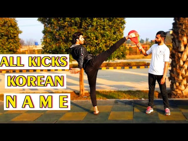 Taekwondo Kicks Names In Korean Mastering Taekwondo Side Kicks With