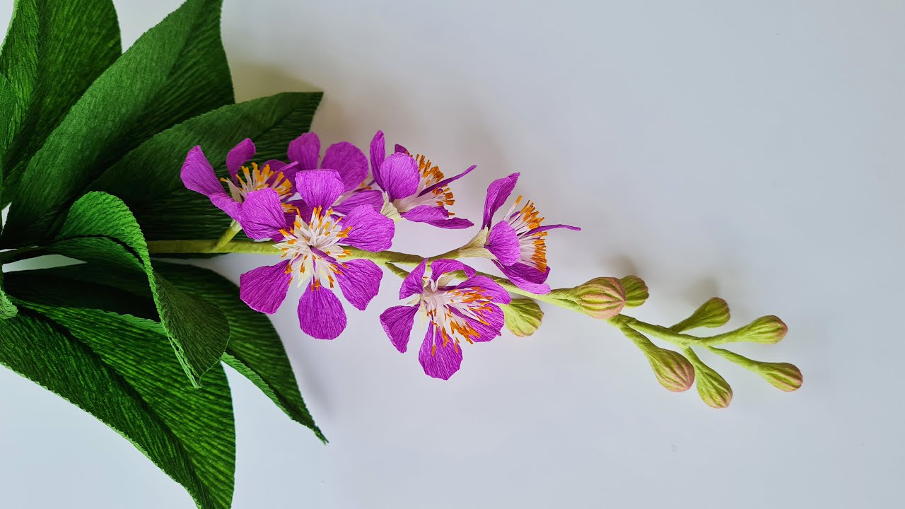 How To Make Queen’s Crape Myrtle Paper Flower / Paper Flower / Góc nhỏ ...