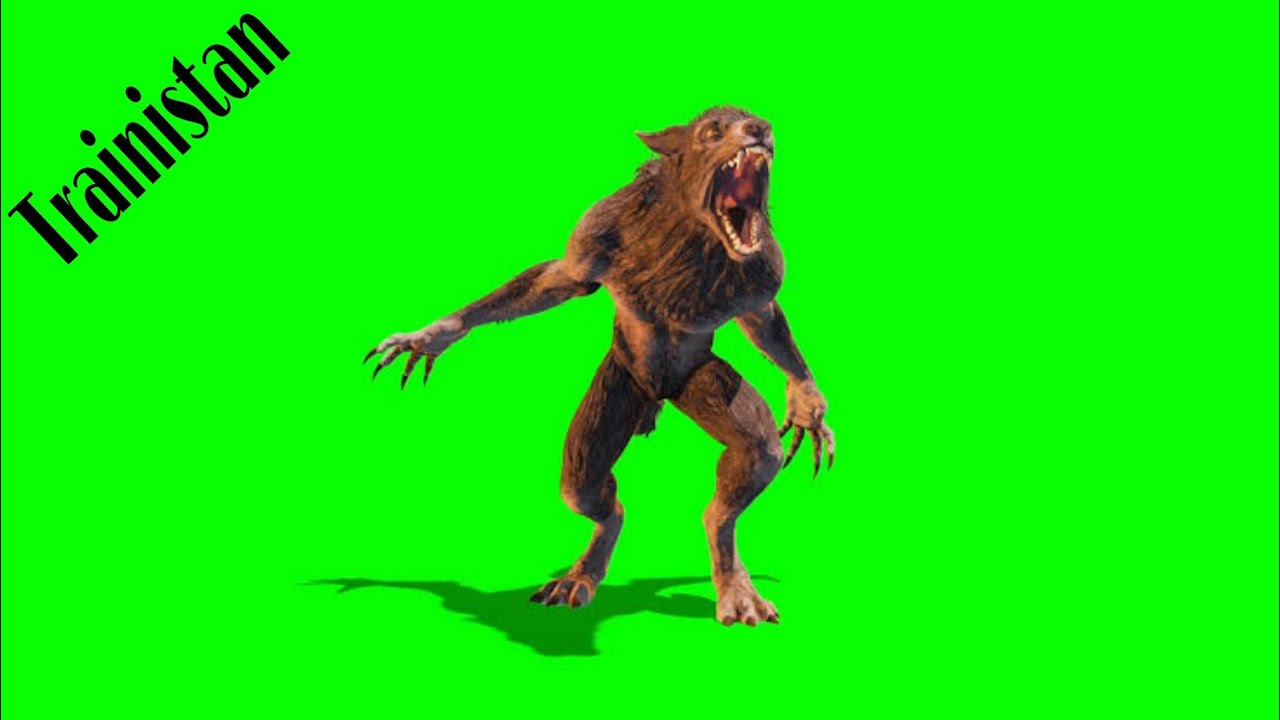 Werewolf green screen animation_animals_Trainistan_effect_vfx_🐺🐺 - YouTube