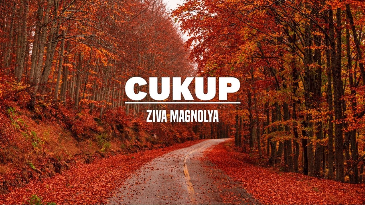 Cukup - Ziva Magnolya (Lirik) - YouTube