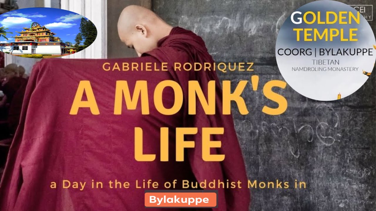 Daily || Routine || Of Monk || Life #daily #routine #monklife # ...