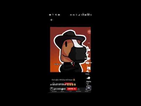 at kafası laf sokar kıral alar