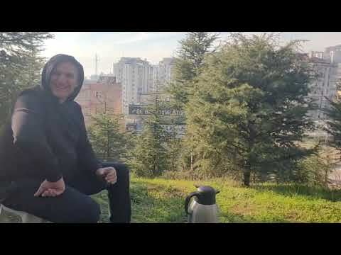 Arap  Esaslı  Yavru  Dostlara  Uçuyor 2 Aydır  Performans  Sergileyen Yavru  Arap