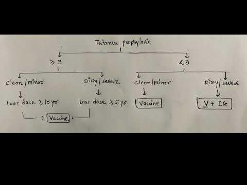 Algorithm 4 : Tetanus Prophylaxis in routine wound management - YouTube
