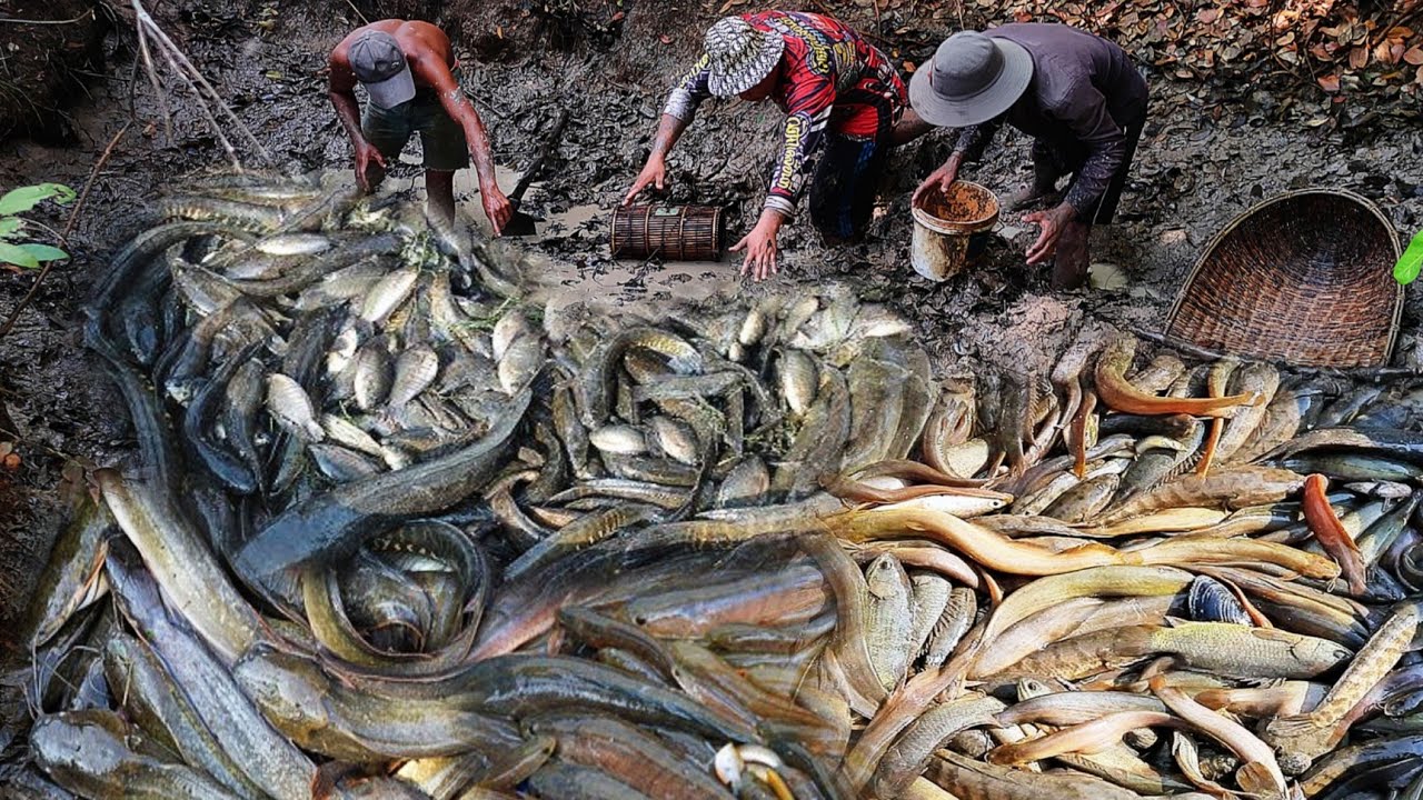 Top videos , Fishing Techniques, Catching Fish With Pump, Catching a ...