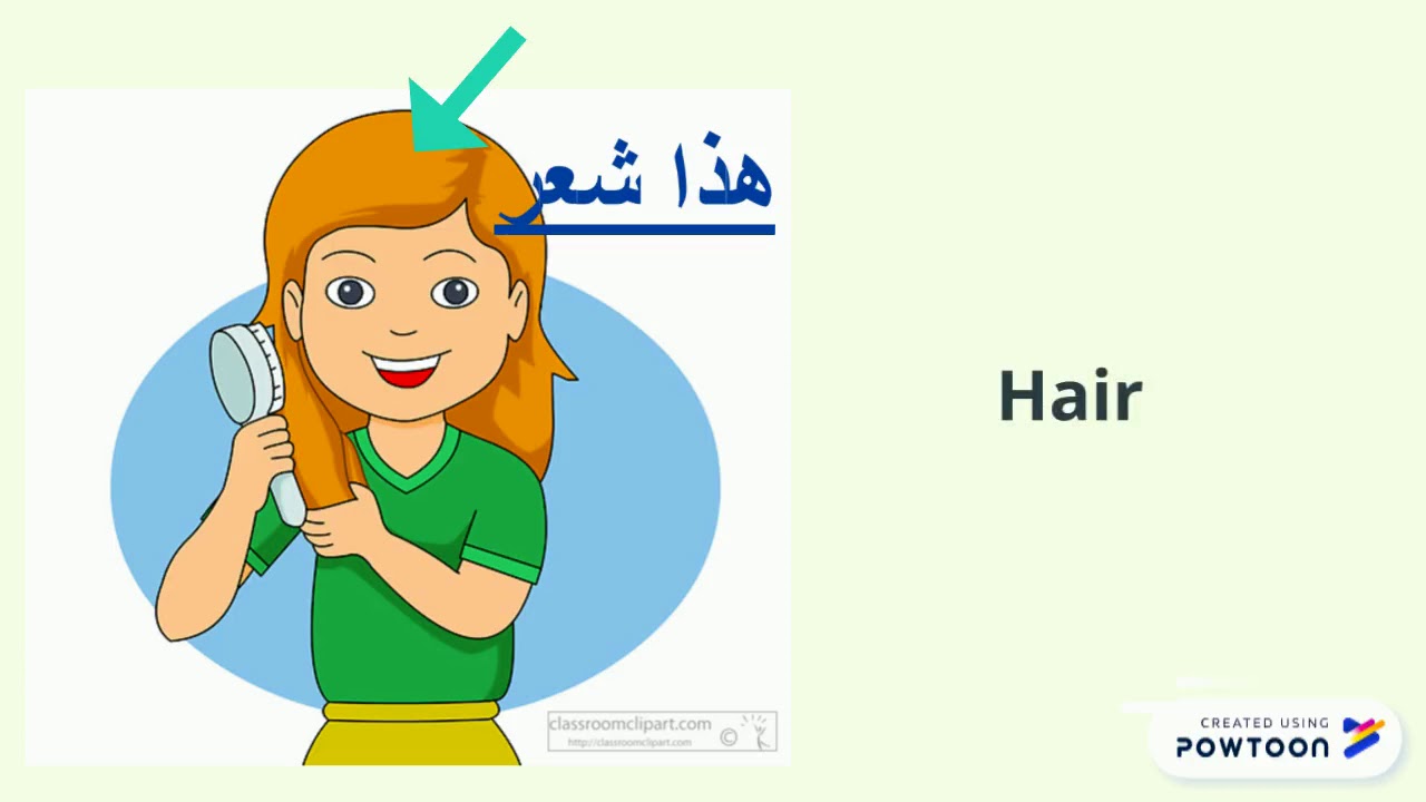 Parts Of The Body In Arabic For Beginners YouTube parts-of-the-body-in-arabic-for-beginners-youtube