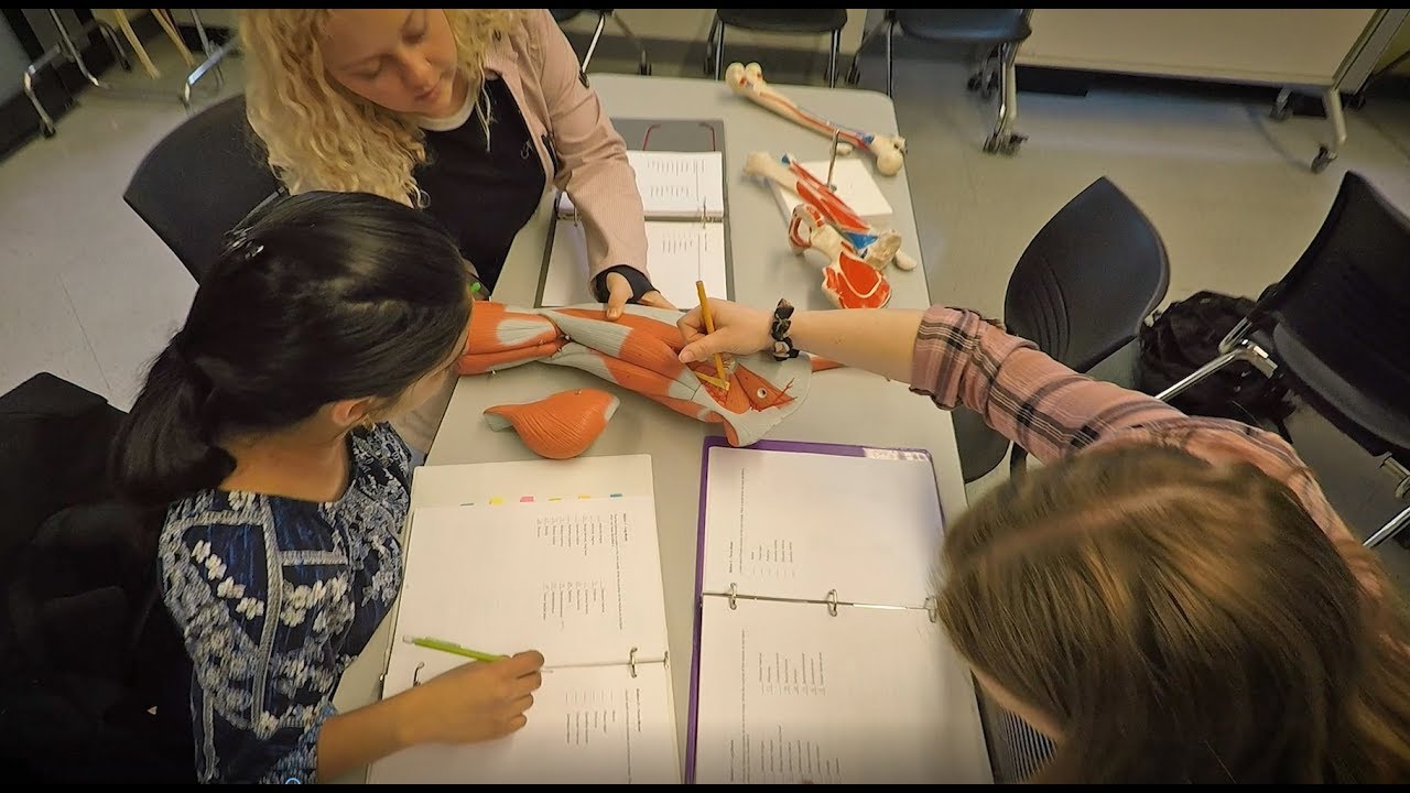 Michigan Kinesiology Movement Science Program - YouTube