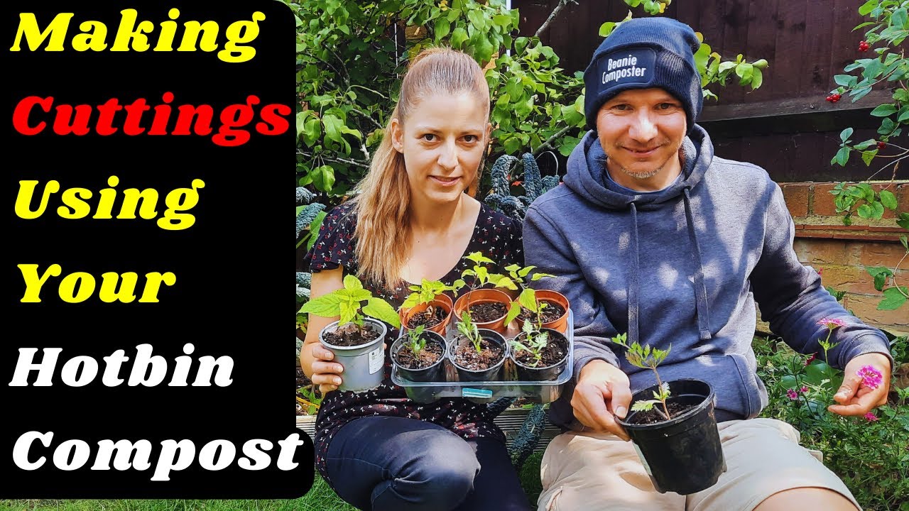 Making Cuttings Using Your Hotbin Compost (@Beanie Composter) - YouTube