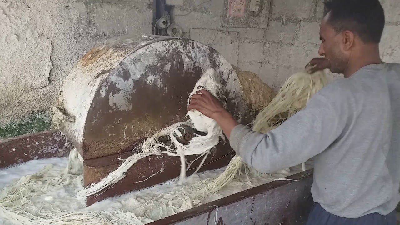 Handmade Nepali paper making proces - YouTube