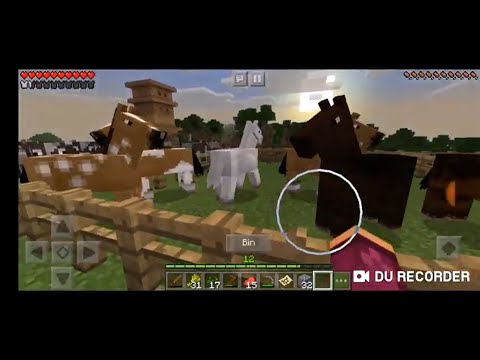 Minecraft hayvanları toplamak, çiftlik, tarla yapımı