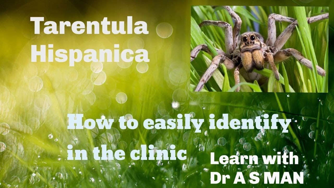 EASILY IDENTIFY TARENTULA H IN THE CLINIC with Dr A S MAAN SIR @hsh ...