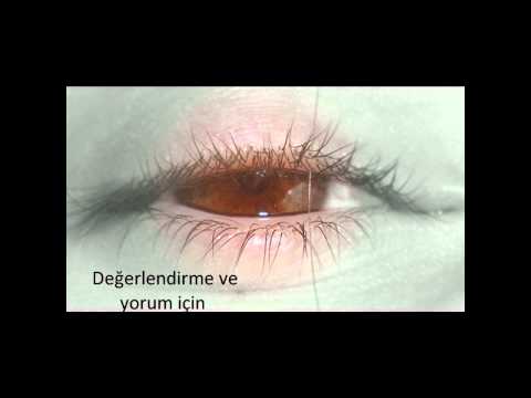 Özgün - Şeytan