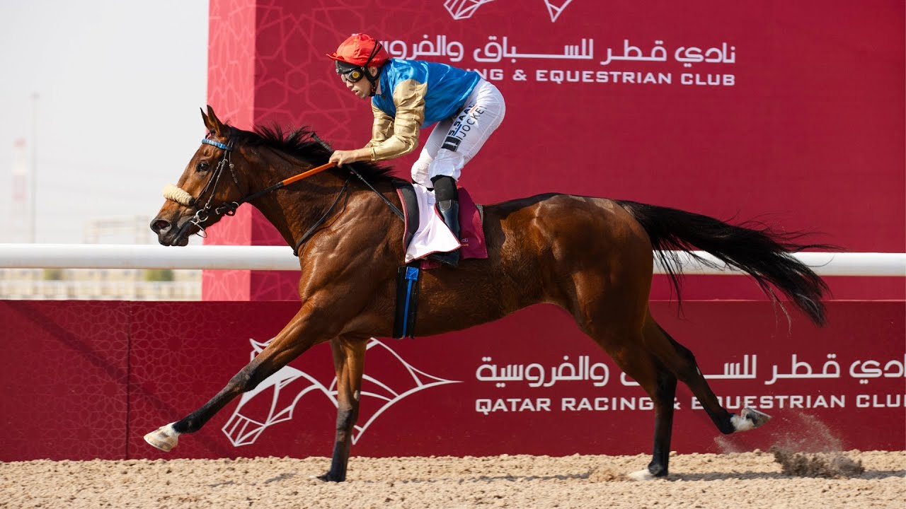 RM7 Al Uqda RACE-2 Distaff Cup - YouTube