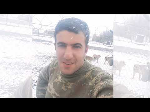 Şəhid Elcan Memmedov