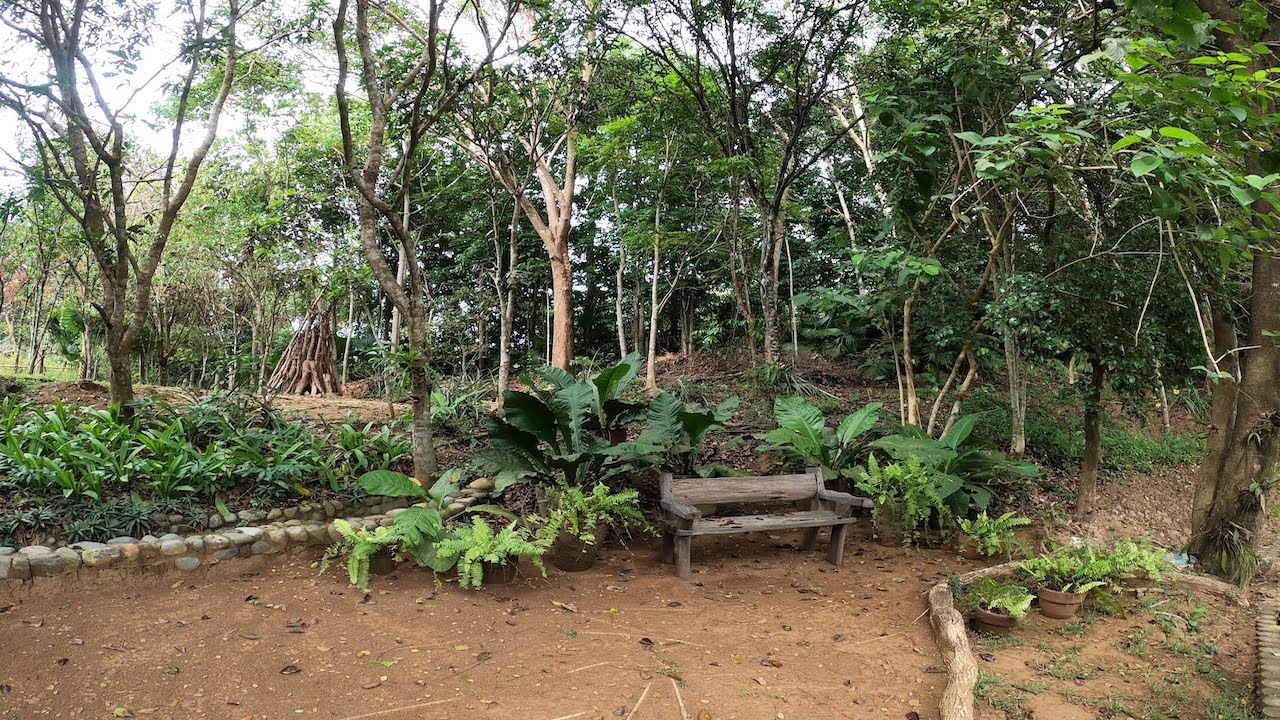 Exploring Lotus Valley farm in San Juan, La Union - Feb 2020 - YouTube