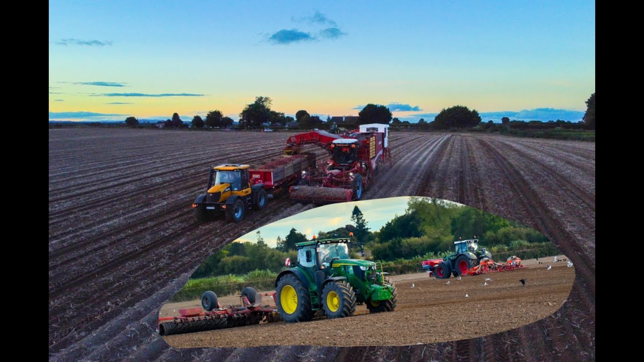 LABURNUM FARMS- Digging spuds, sowing and rolling season 2024 - YouTube