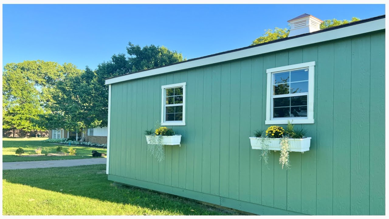 Window box update + direct seeded Coleus surprise! 🌼🌿🌸 | Wendi’s Garden ...