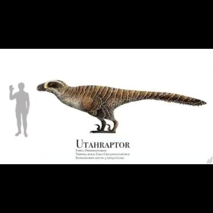Arica Creature (Mega Raptor) sounds #raptor #cryptozoology #cryptids # ...