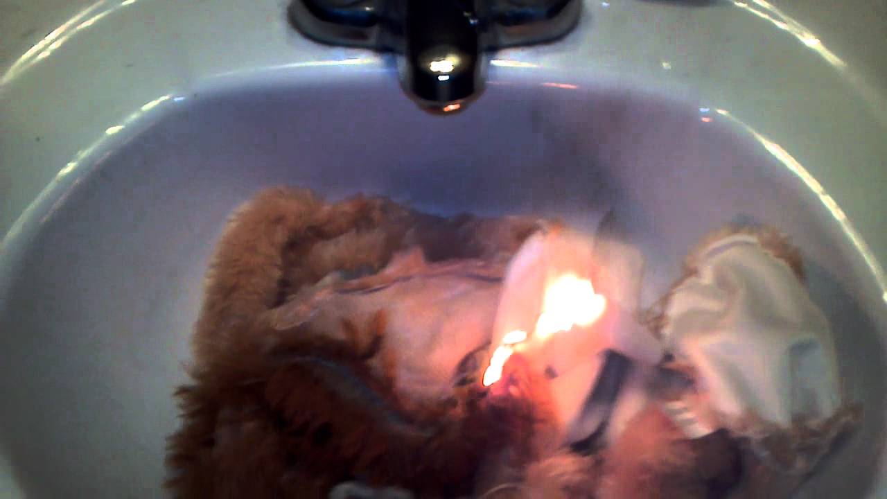 The burning of the stuffed animal : ) - YouTube