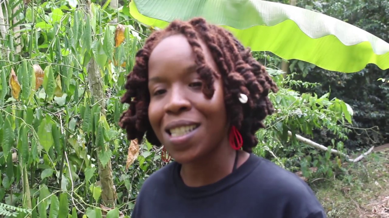 Anchants - "Penny Trait" (T Shirt Contest) Winner Announced. - YouTube