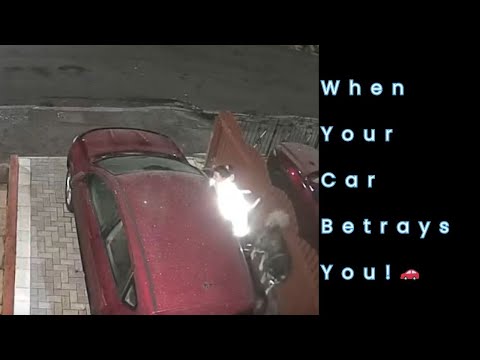 Runaway Car Chaos: Car Moves by Itself in Gear! || WooGlobe