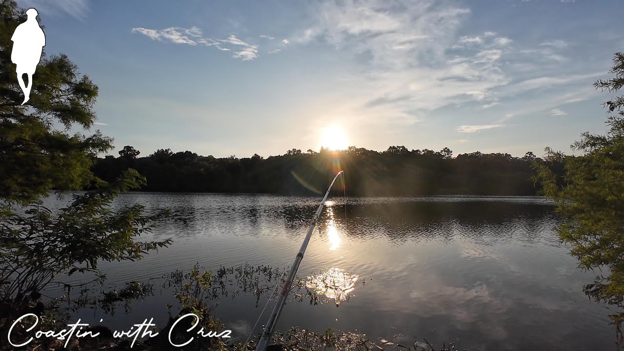 Debbie Lightsey Nature Park and Munson Slough | Tallahassee, FL ...