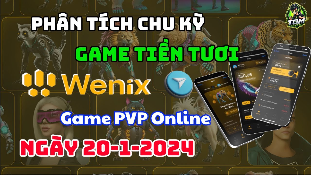 WENIX GAME | Phân tích chu kỳ trò chơi game PvP #Wenix - YouTube
