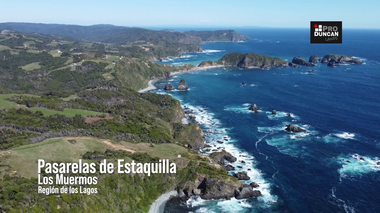 Pasarelas de Estaquilla - Los Muermos - Región de Los Lagos - YouTube