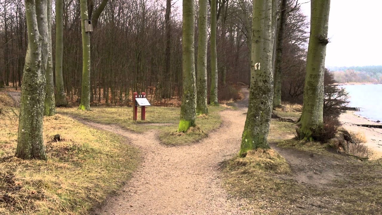 Meanwhile in Denmark - YouTube