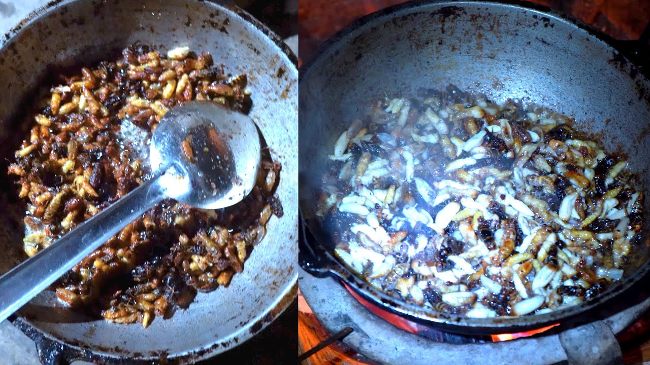 Night hornet hunters in rural Nepal || hornet fry larva cooking ...