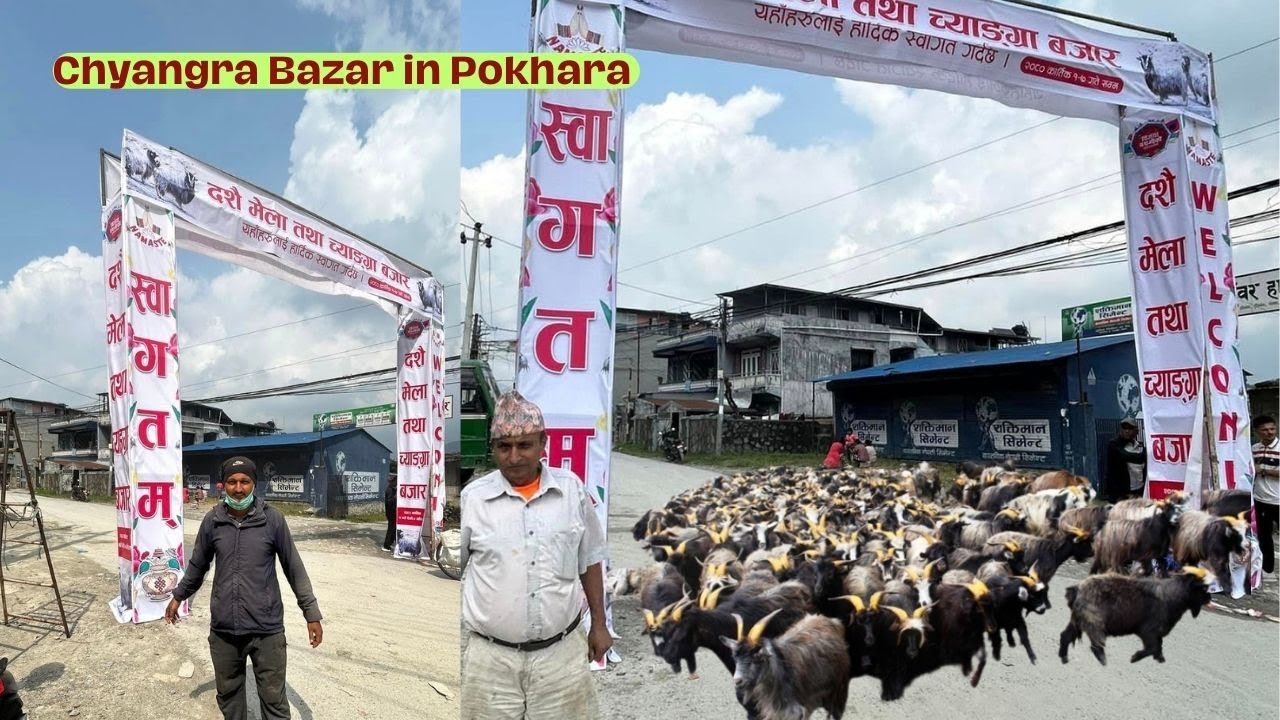 Chyangra Bazar in Pokhara 🐏 - YouTube