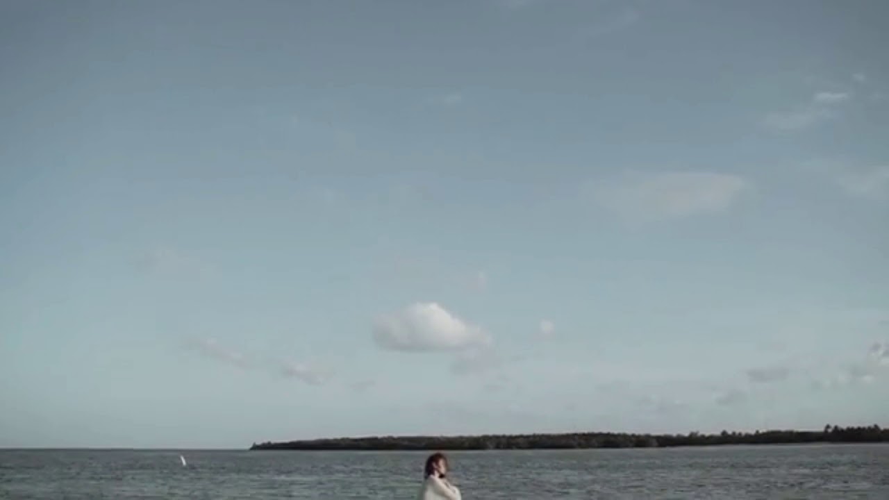 Whitewildbear - YouTube Music