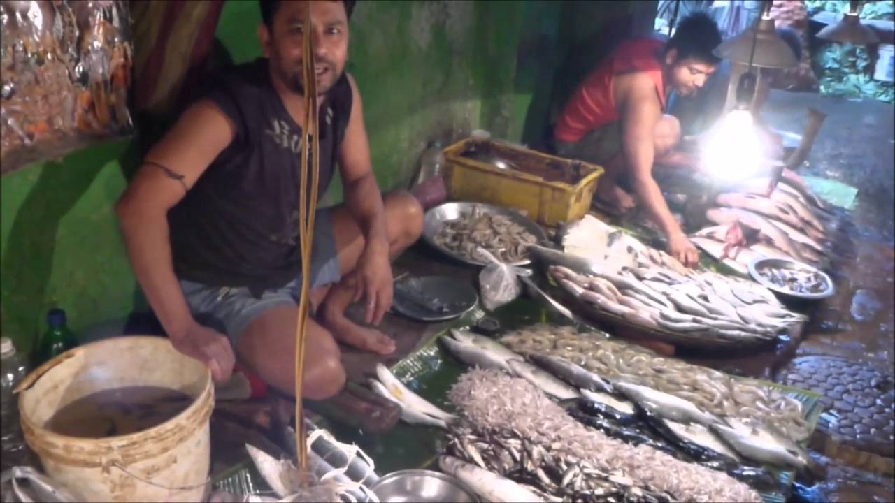 A Fish Market in Kolkata - Sights & Sounds - YouTube