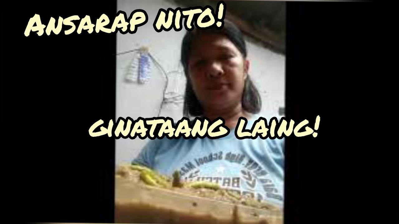 MASARAP ITO! Ginataang Laing at Pritong Maya-Maya | Ep 3 - YouTube