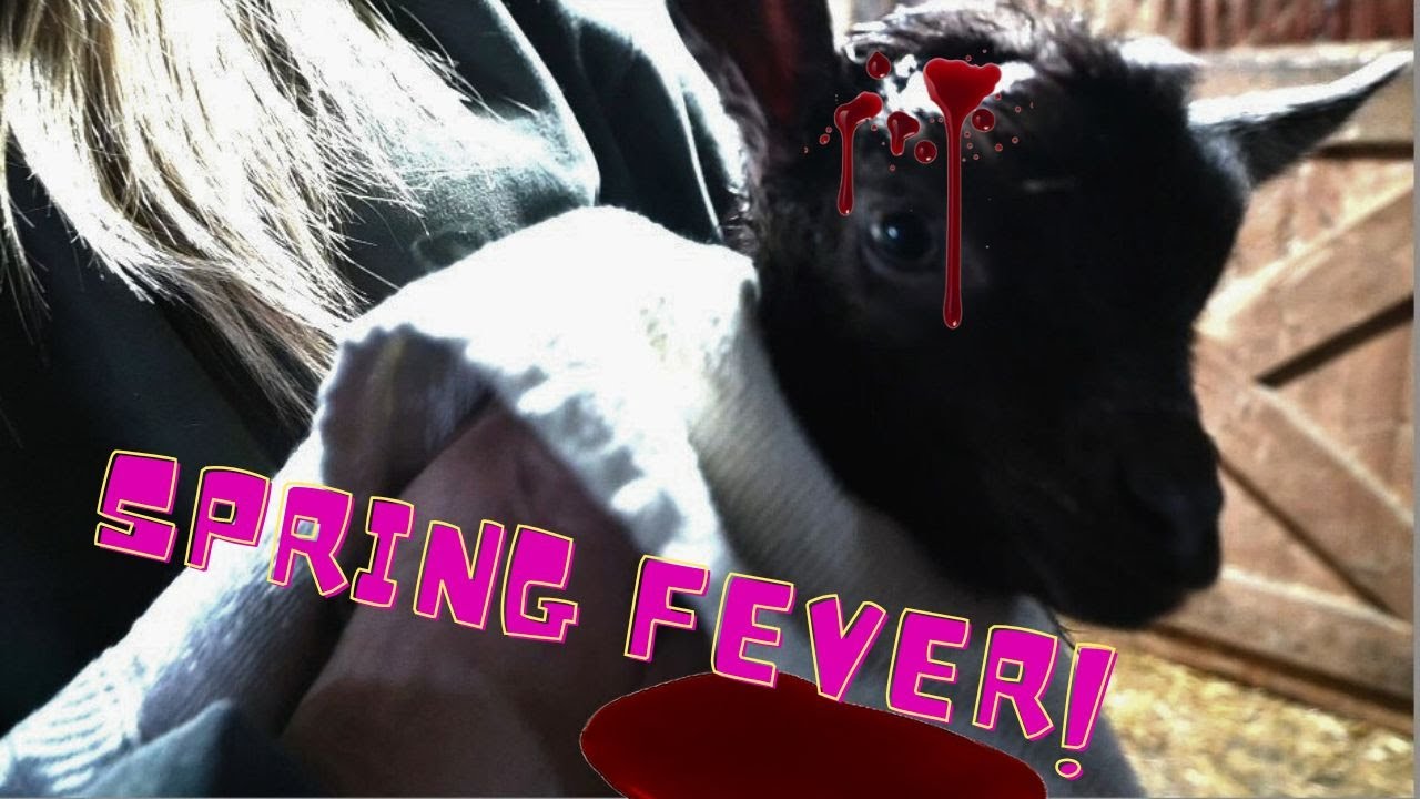 EVERYONE On The FARM Is Getting INJURED! - YouTube