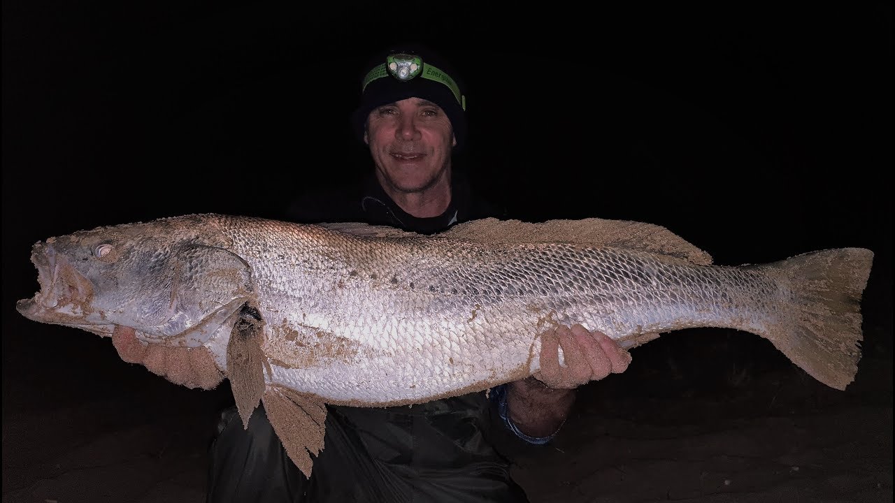 MULLOWAY ! TIPS TO CATCH METRE + BEACH MULLOWAY ! Big Gummy And Lauryns ...