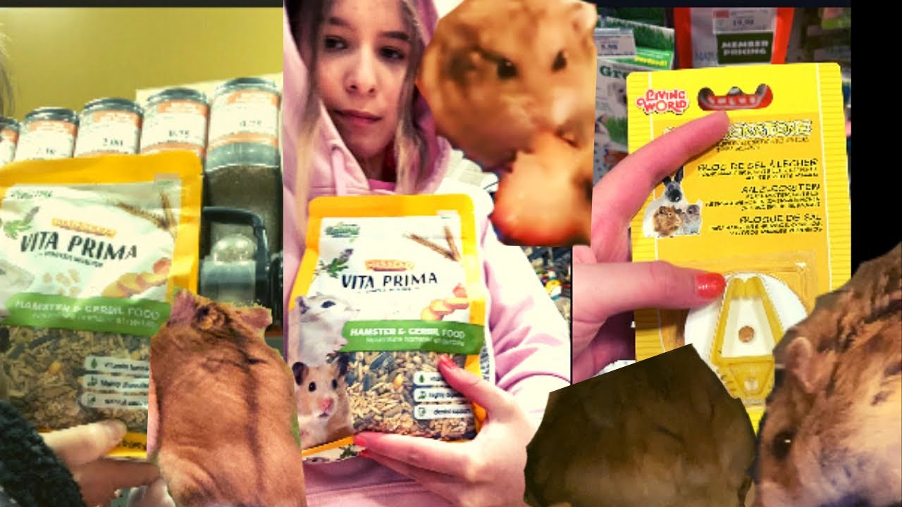 🐹Buying Hamster Vita Prima Food 🐹 - YouTube