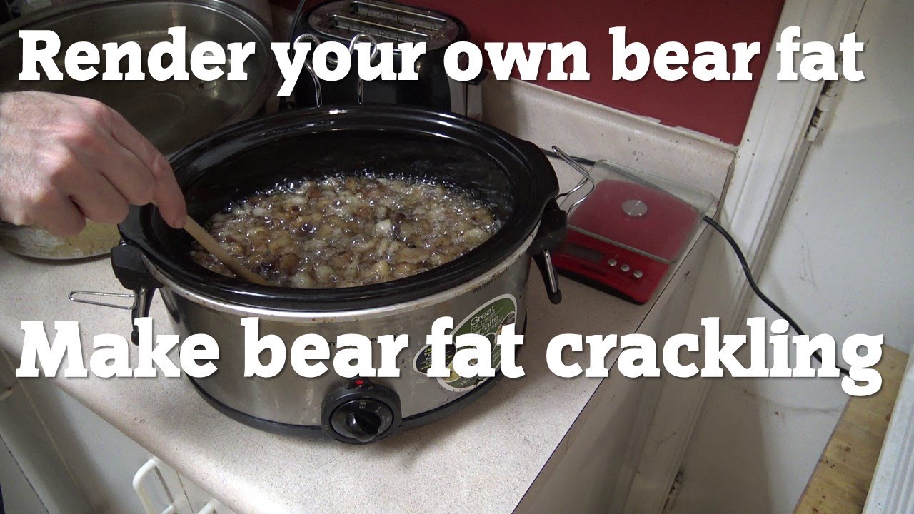 Rendering bear fat and making cracklings - YouTube