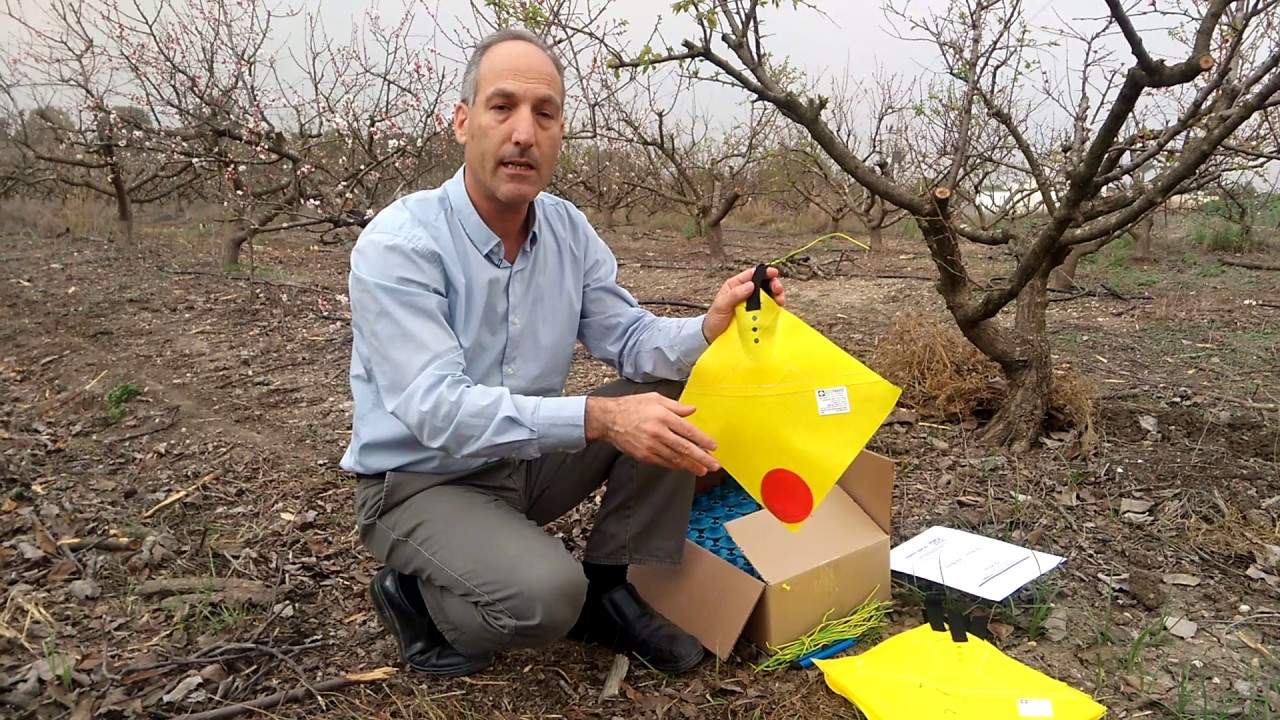 How to use Biofeed - YouTube