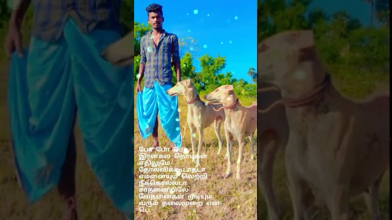 mathankumar Kanni rajapalayam 9025767835. 8524809735 - YouTube