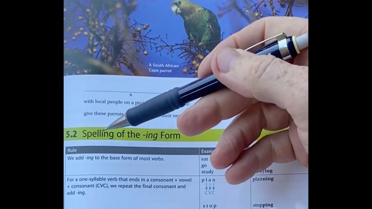 ELS Grammar 1-Textbook Pages 117-118, Exercises 2 and 3 - YouTube