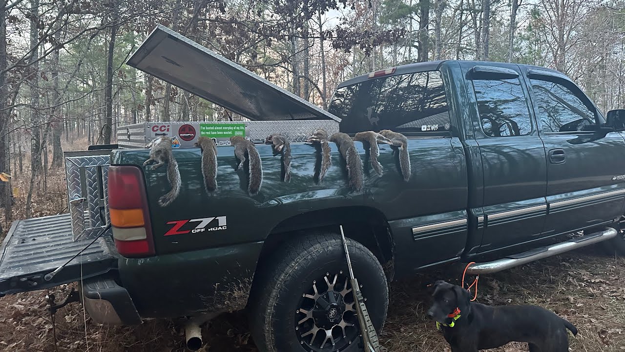 Treeing Squirrels with a Mountain Cur In December - YouTube