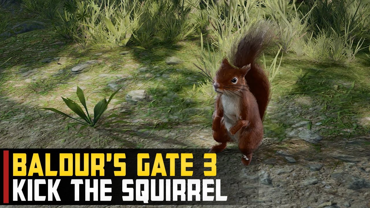 Baldur's Gate 3 | Kick the Squirrel - YouTube