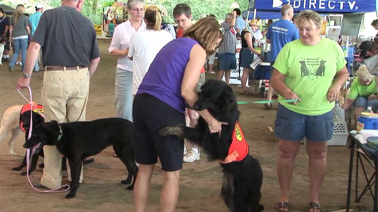 Alpharetta- Annual Animal Rescue Fair and Pet Adoptions - YouTube