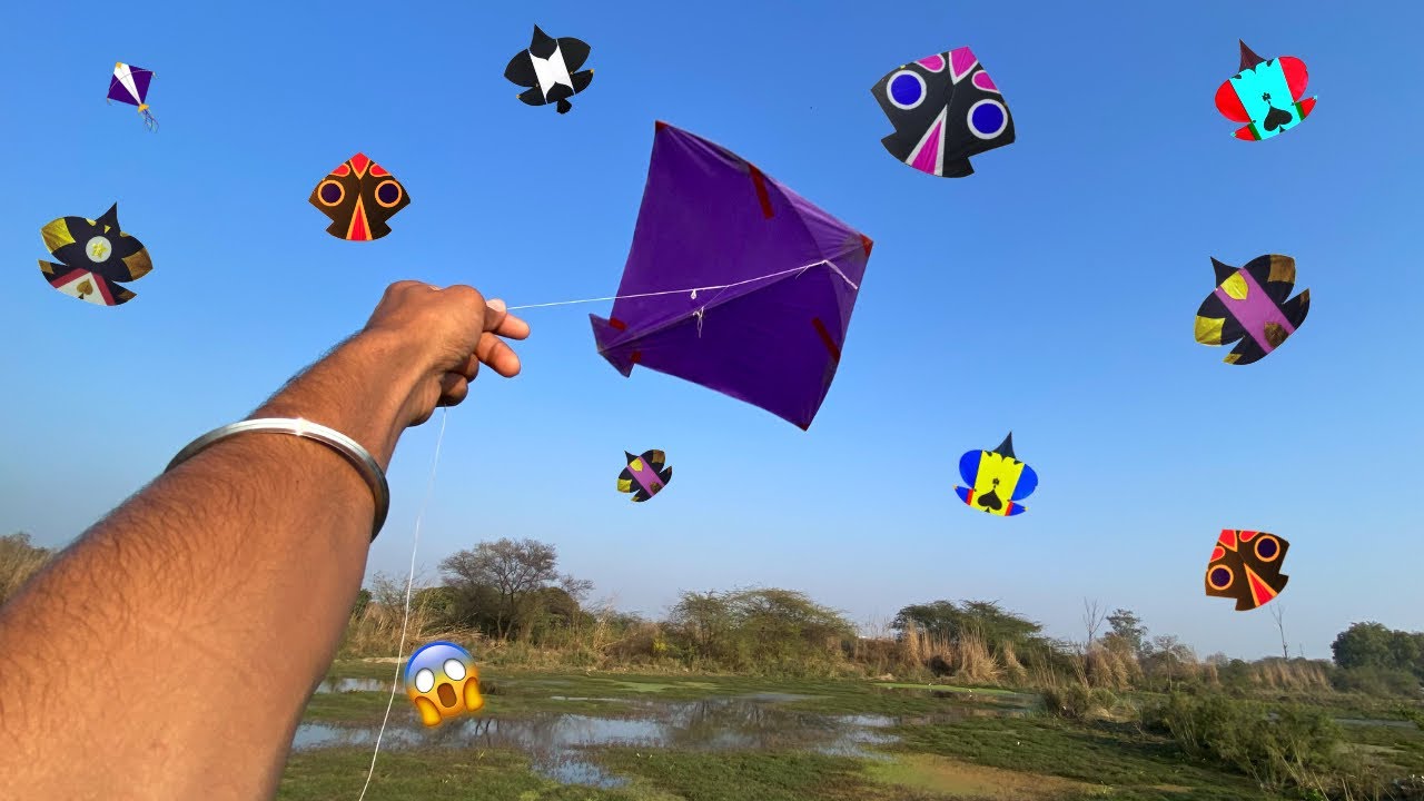 KITE LOOTING🪁 *Catching Kite* Caught Kite | Kite Looters From Ground # ...