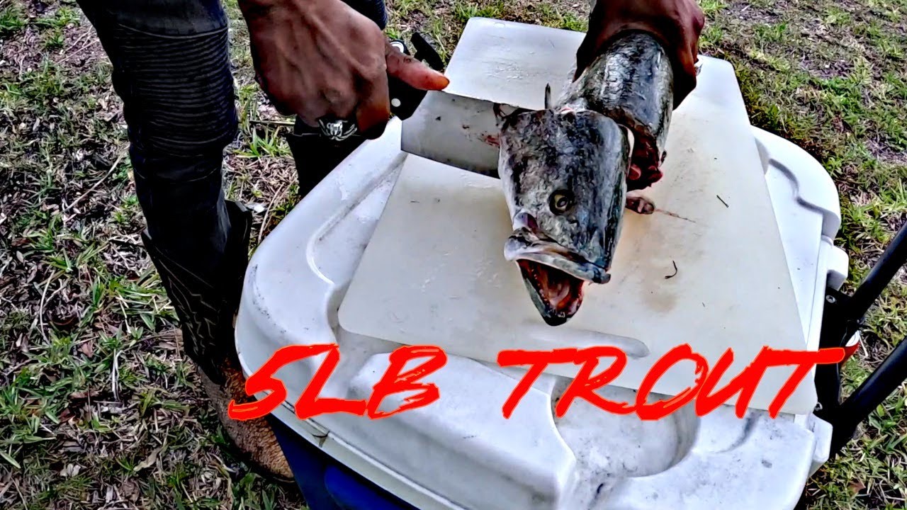 Cooking 5 POUND Trout - YouTube