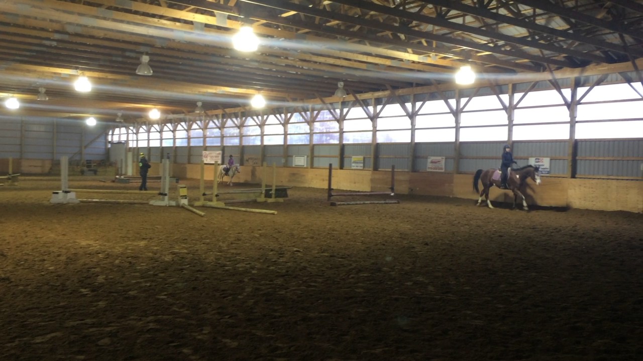Cantering in slow motion | Horse rider always - YouTube