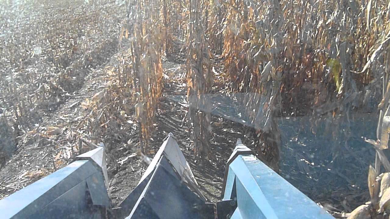 Almaco SPC 40 - Plot Combine - YouTube