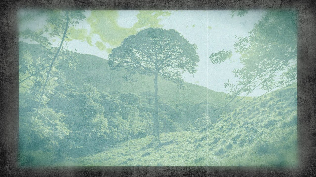 Arhuaco: The Law of Universal Origin - A school of ancient Science ...